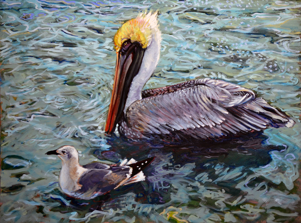 Pelicans, Swans of Zurich & Southern Birds | Leslie Shiels